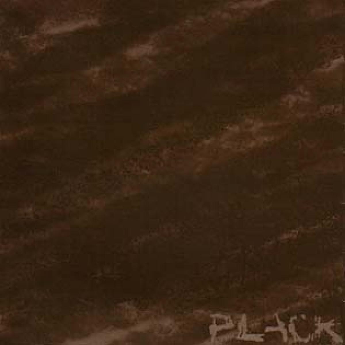 Plack - Demo 2005 | Anmeldelse | Heavymetal.dk