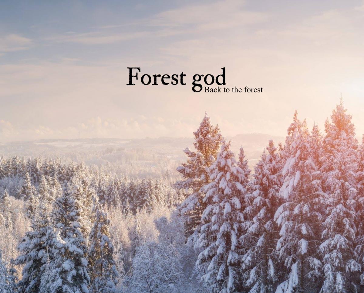 Forest God - Back to the Forest | Anmeldelse | Heavymetal.dk
