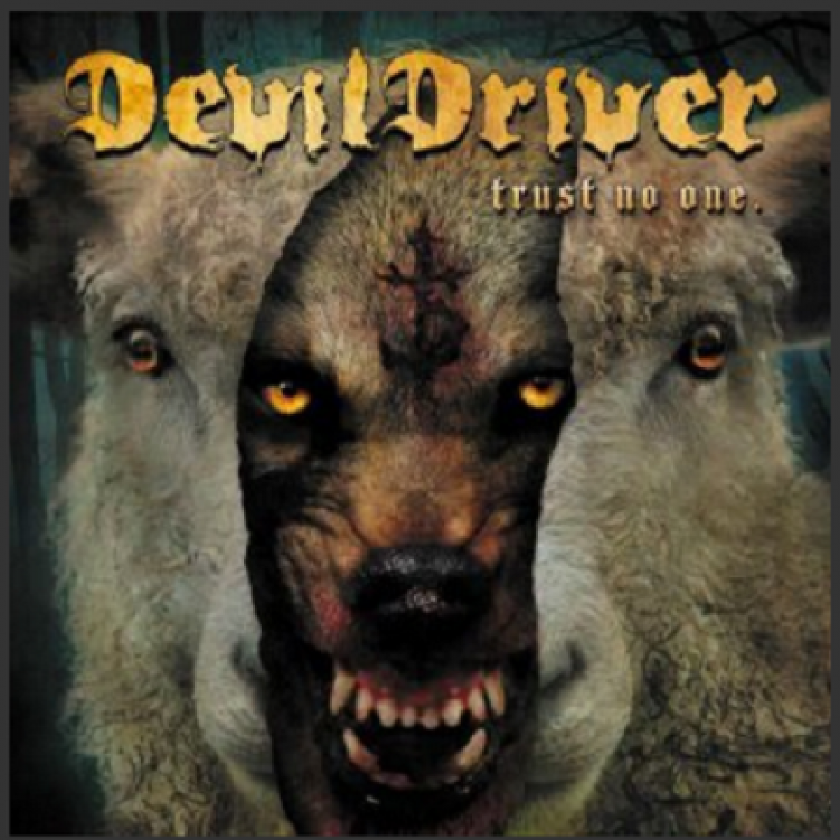 DevilDriver - Trust No One | Anmeldelse | Heavymetal.dk